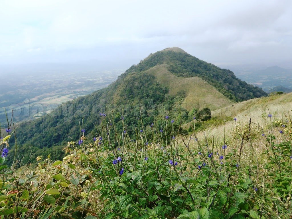 Batangas - Mt. Talamitam Climb, Nasugbu Batangas | Blogs, Travel Guides ...