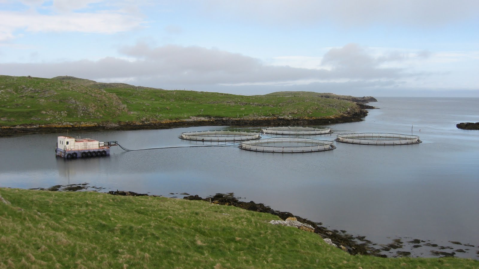 Andy's round the world trip: Out Skerries Shetland. As far east as you ...