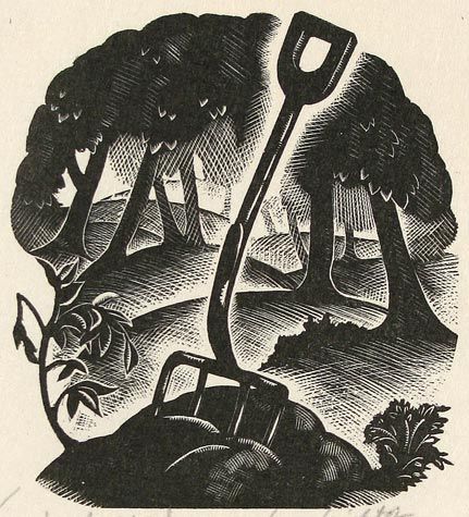 Hay Quaker: Great Value ~ Chellie Pingree