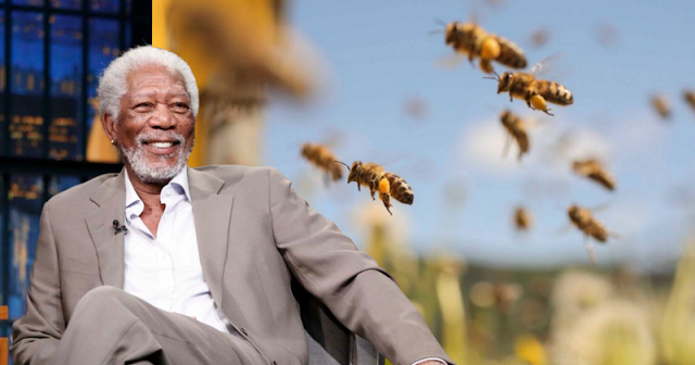 Morgan Freeman Turns His 50-Hectare Ranch Into A Sanctuary To Save Bees ...