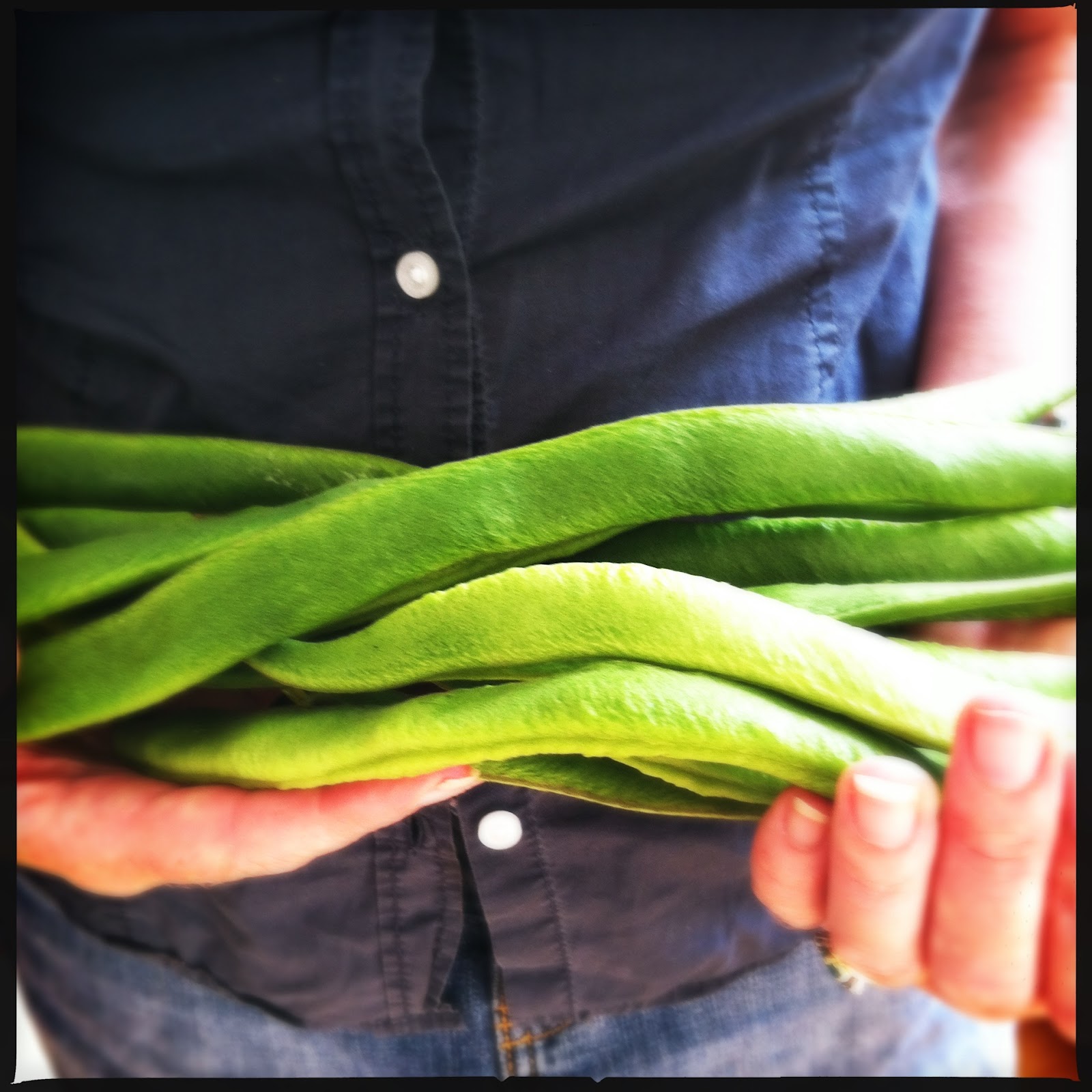 Not Just for Rabbits: A TASTE OF SUMMER- RUNNER BEAN STEW