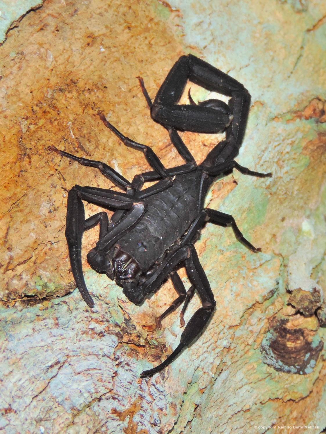 Falando em Ciência: 2019