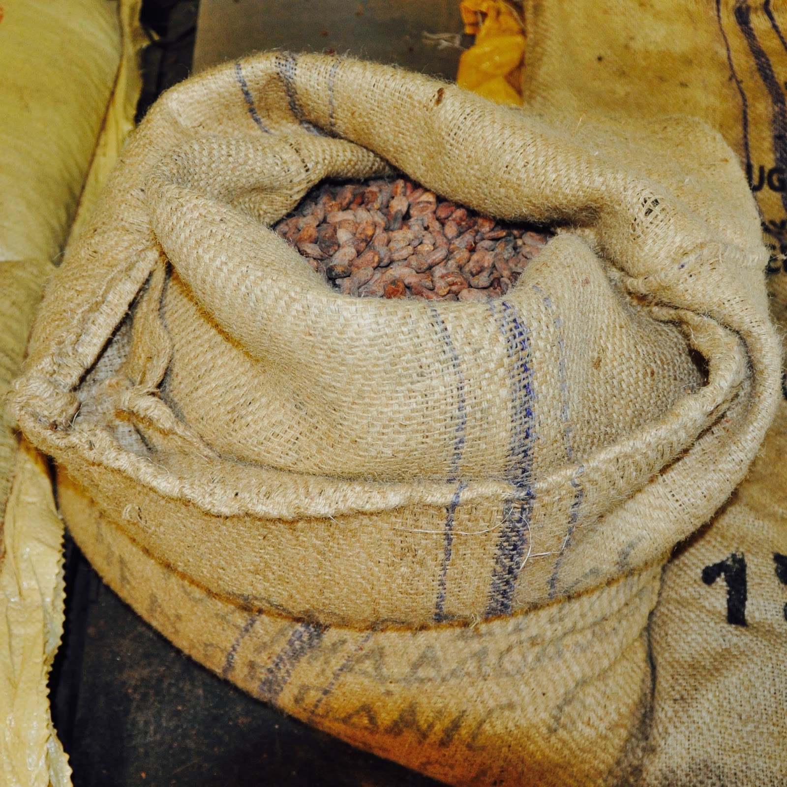 Episode 94 - Kyya Chocolate - DoubleShot Coffee Company