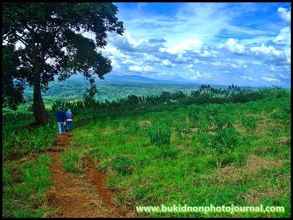 Bukidnon Photo Journal: Field Work Photos: Matampay, Kadingilan, Bukidnon