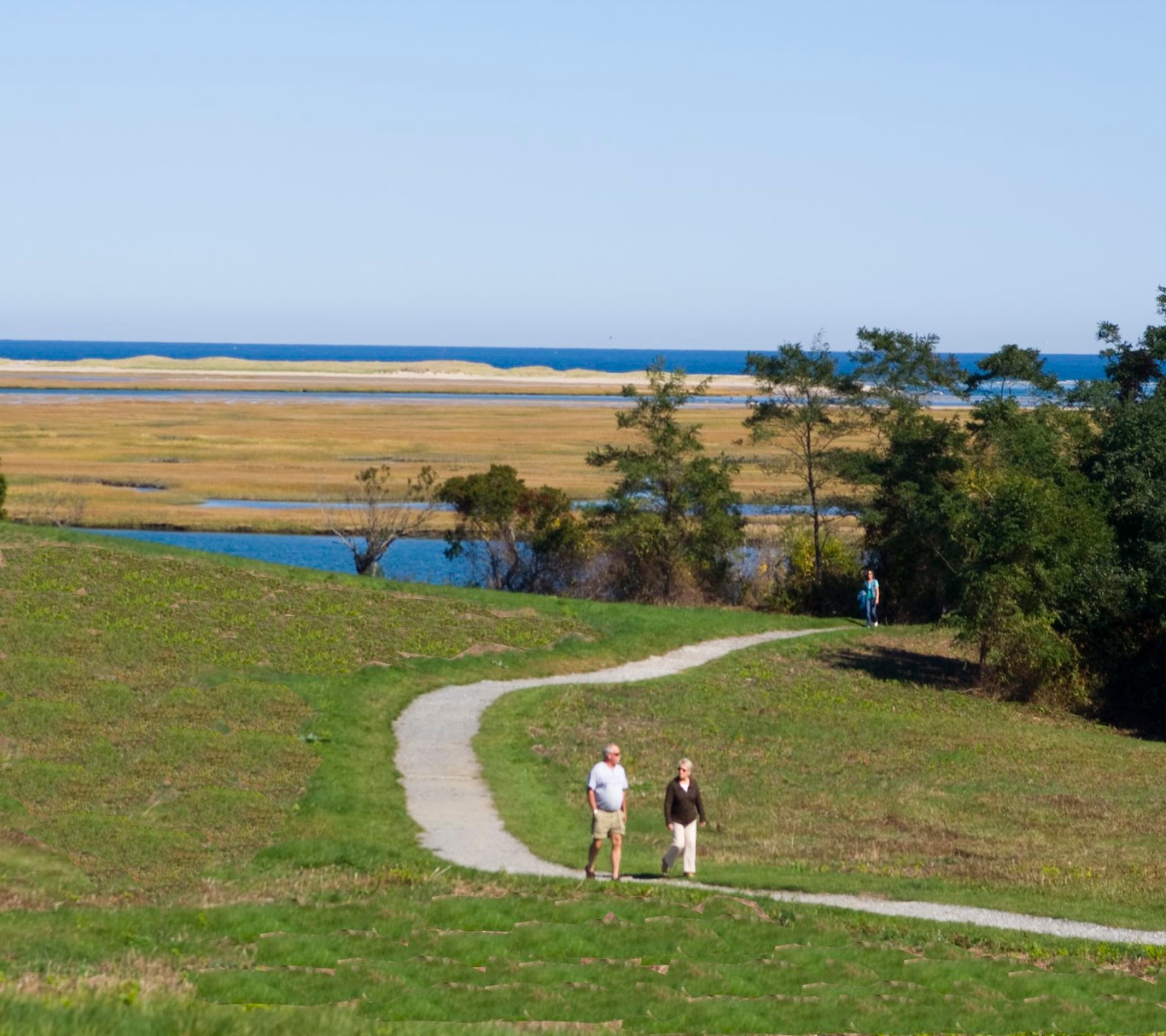 Where to Stay in Wellfleet