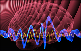 Le Cerveau de l'Enfant et de l'Adolescent: Les Ondes Cérébrales
