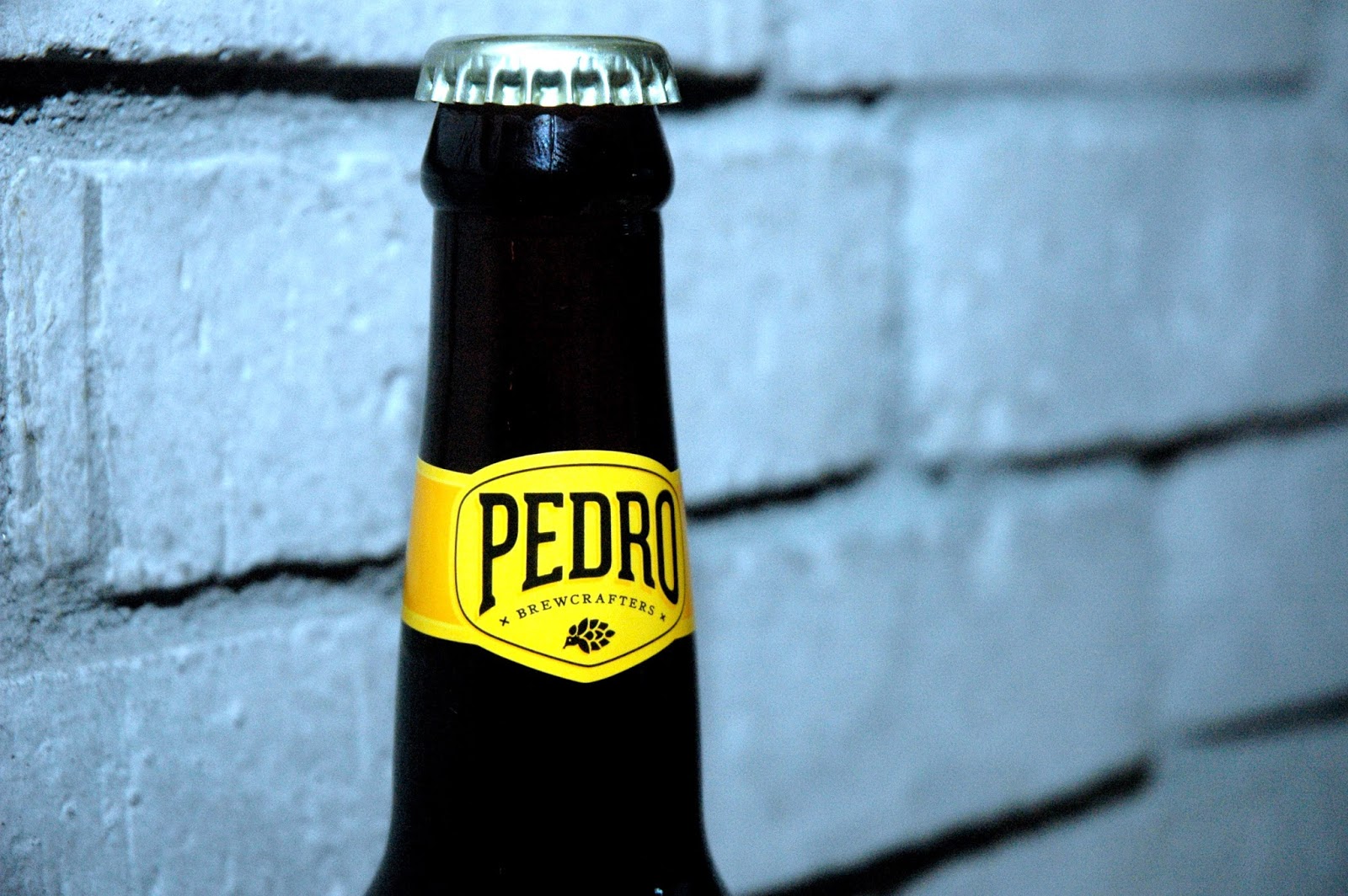 DUDE FOR FOOD: There's a New Brew in Town. Meet Pedro...
