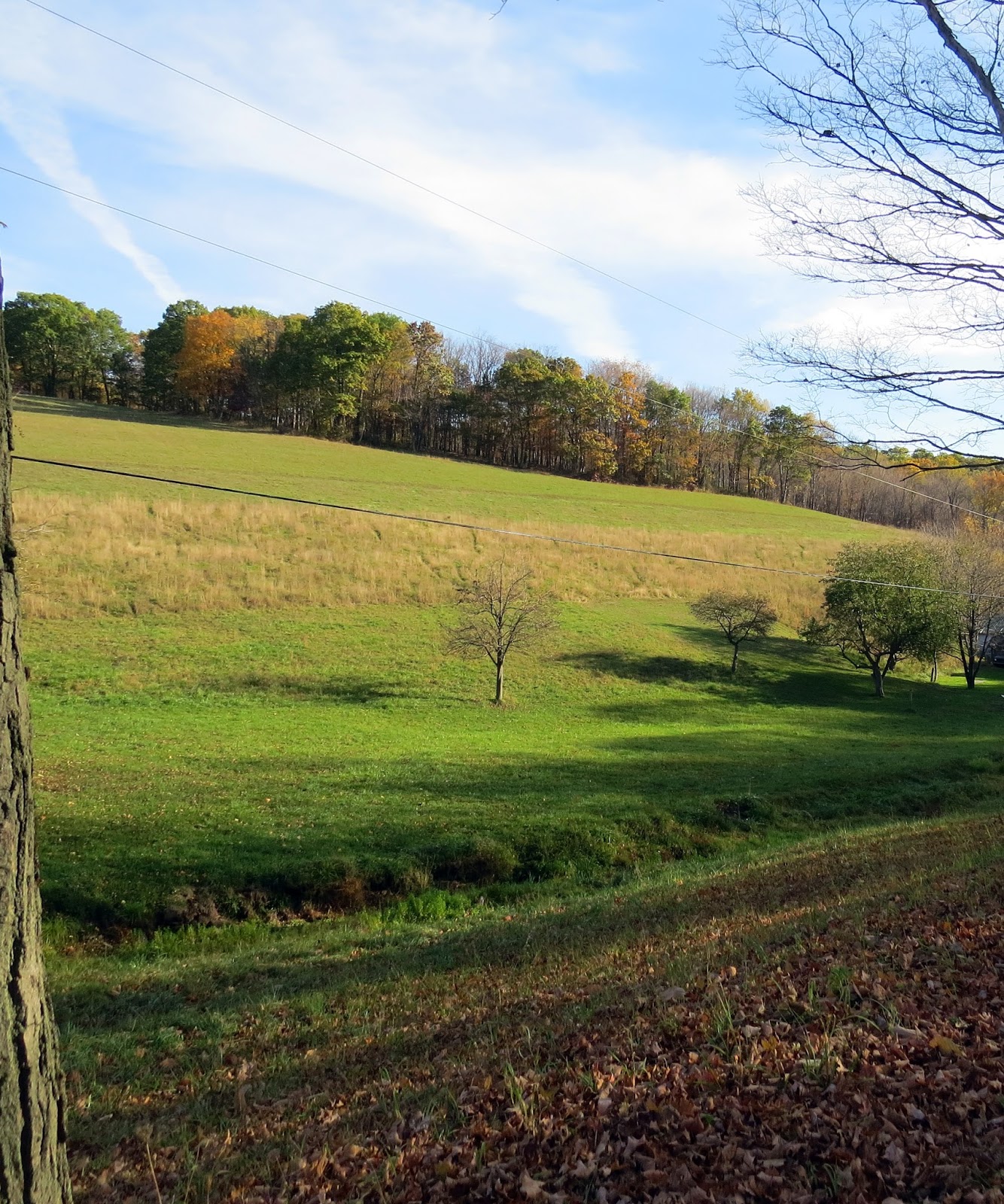 Roots Trek: George Reininger and Mary Hine Reininger