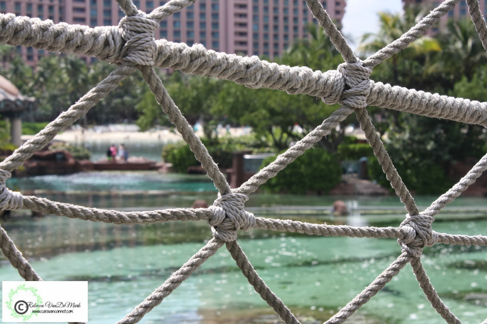 Cruising 2014: Day two {Atlantis} | Caravan Sonnet