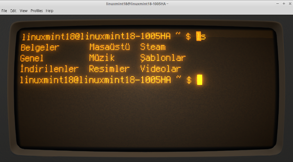 Cool-Retro-Term Nedir? Nasıl Kurulur?