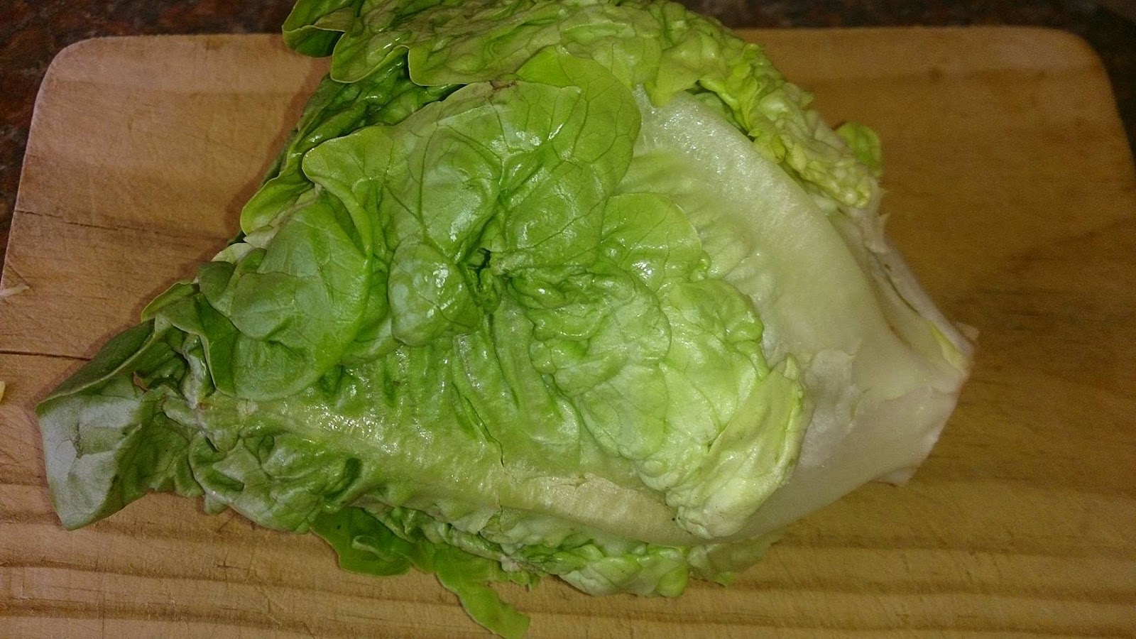 El placer de cocinar con Paz Martínez: COGOLLOS ALIÑADOS