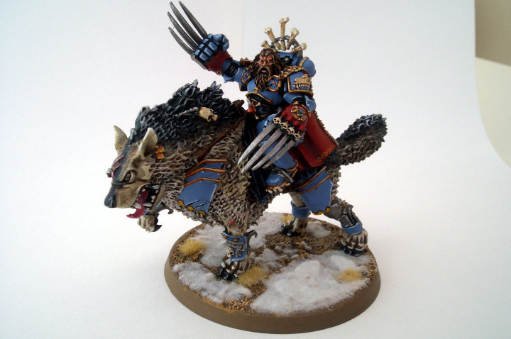 JD's Blog: Canis Wolfborn: A Photo Diary