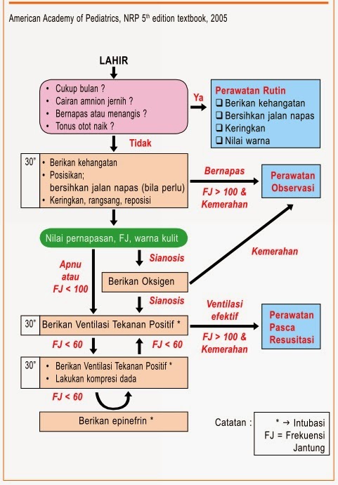 Resusitasi Bayi Baru Lahir | Kedokteran - Kesehatan