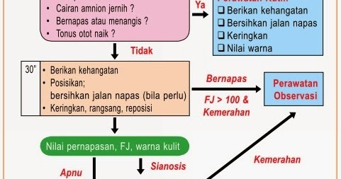 Resusitasi Bayi Baru Lahir | Kedokteran - Kesehatan
