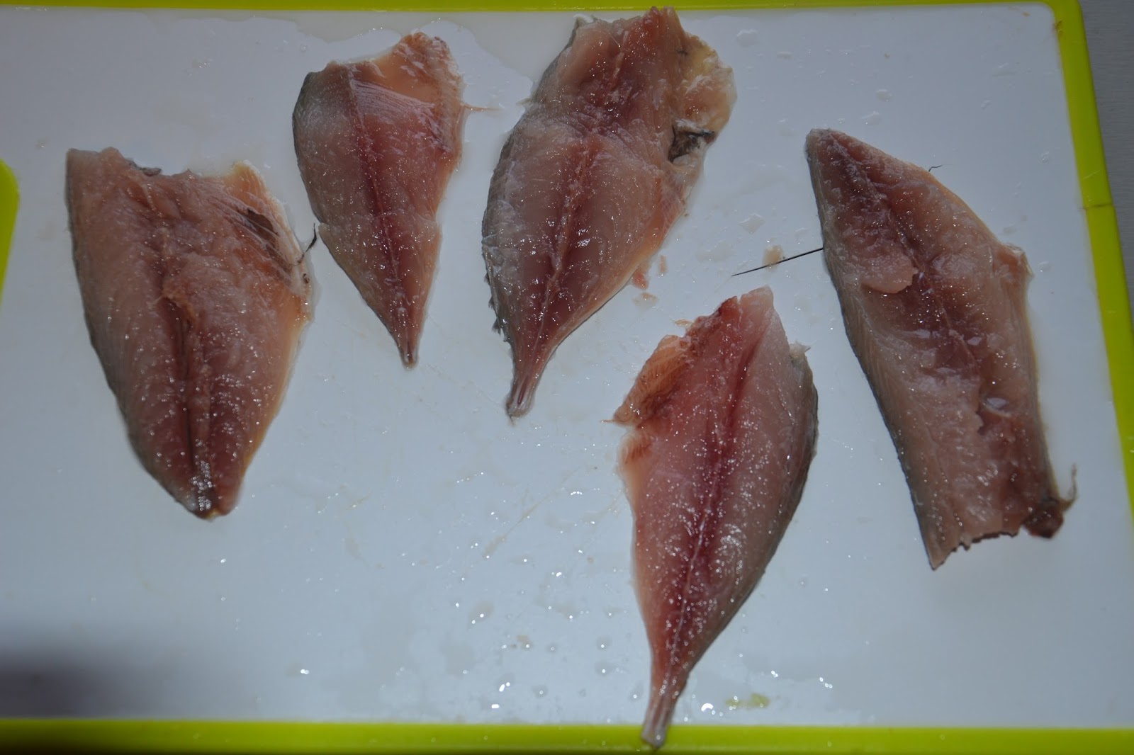 Oppdag Fisk!: Indisk Makrell/Indian Mackerel/Rastrelliger Kanagurta ...
