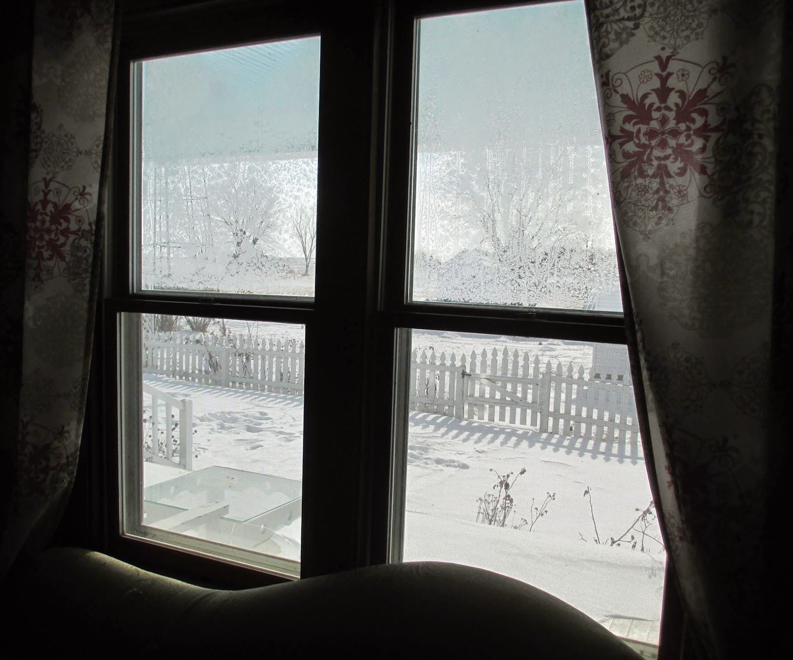 Garden Fancy: Winter Window Views