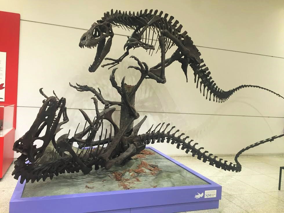 Prehistoric Beast of the Week: Visiting the New Jersey State Museum ...