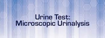 How to interpret laboratory data:Urine analysis