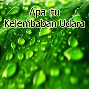 Pengertian Kelembaban Udara dan Jenisnya