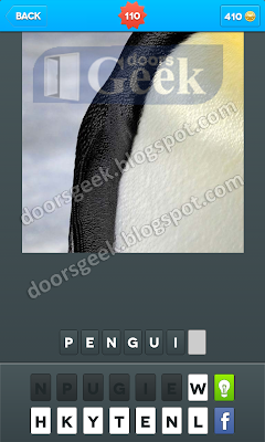 Zoomed In - Photo Word Game Level 110 ~ Doors Geek