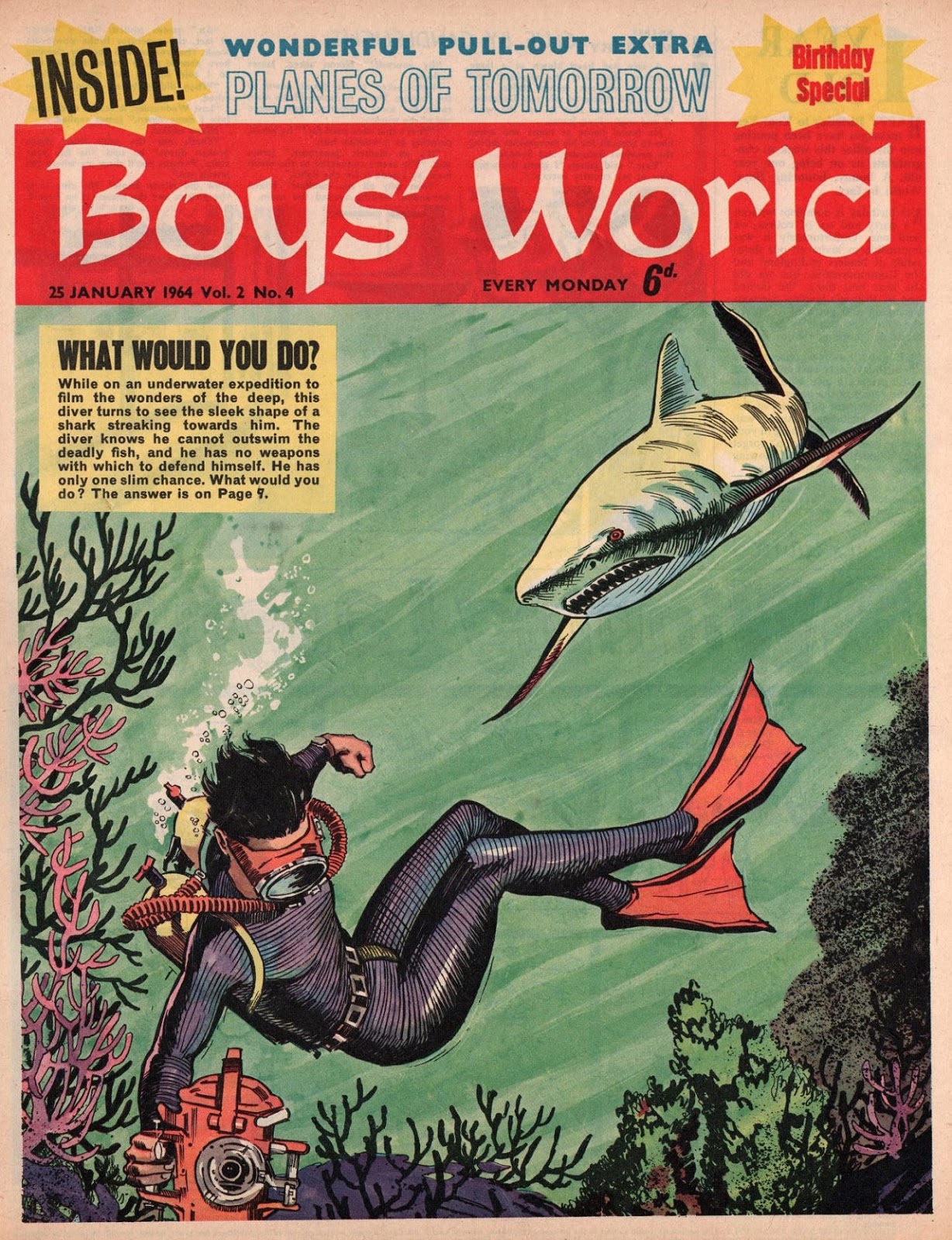 The Art of Diving: 2017