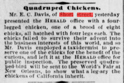 Wandering In LA: Brass Knuckles, Female Boarding, and Quadruped ...