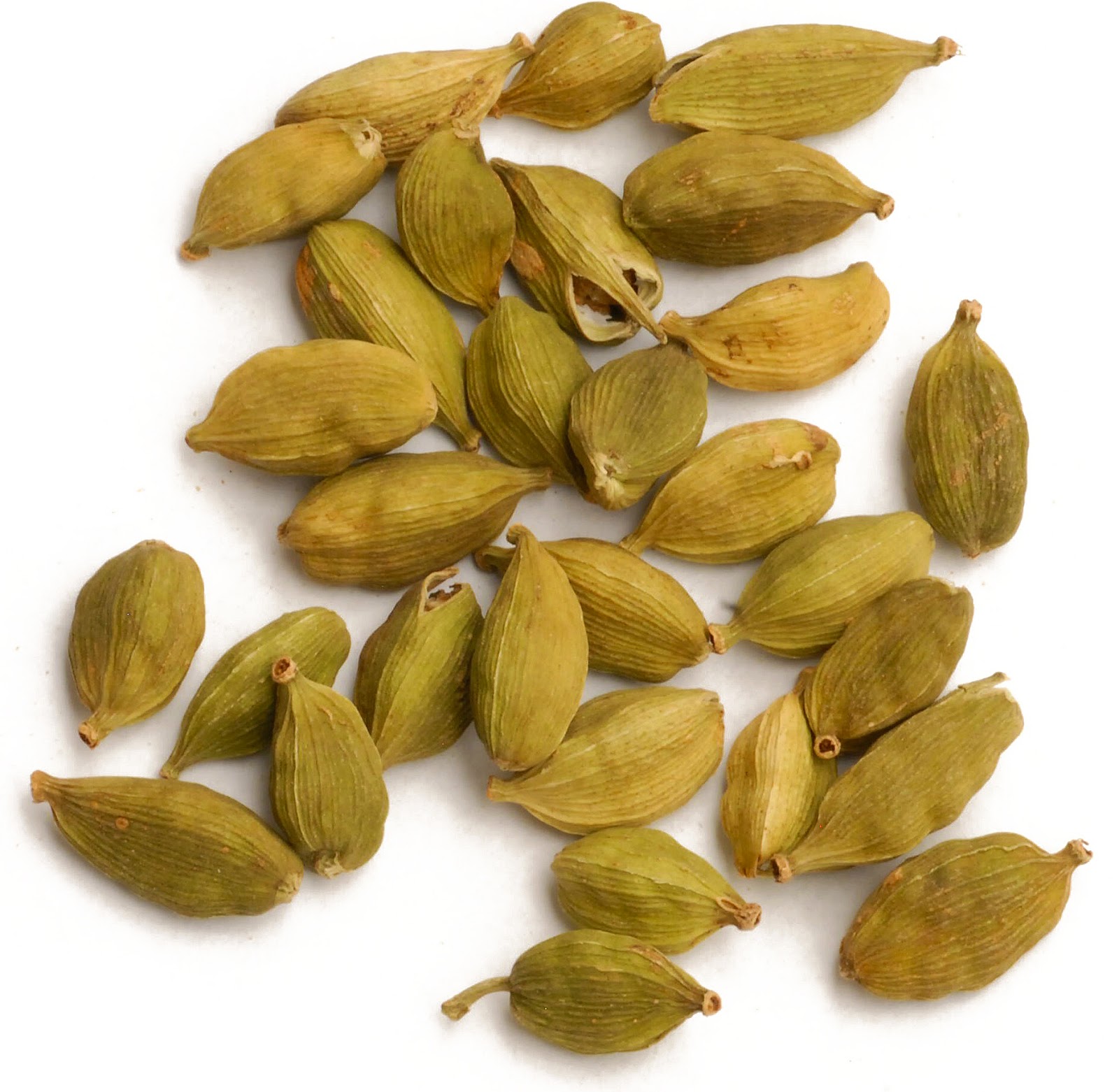 Biodiversity Heritage Library for Europe: Spice of the Week: Cardamon