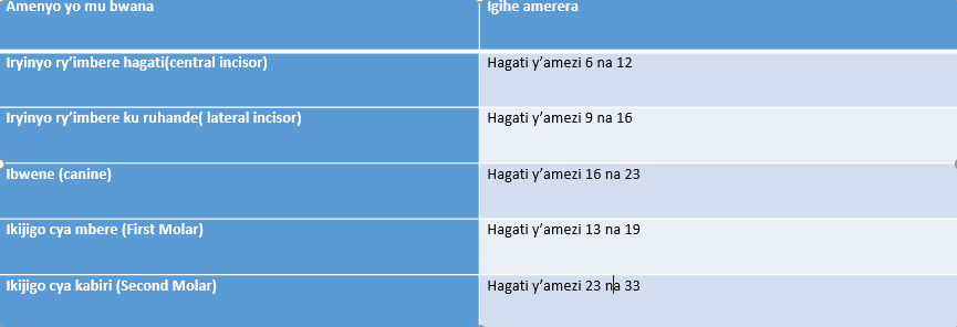 Menya ibice bigize akanwa kacu