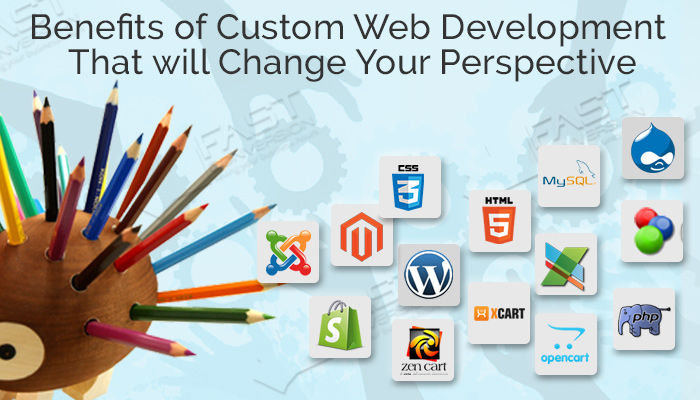 5 Benefits of Custom Web Development That will Change Your Perspective ...