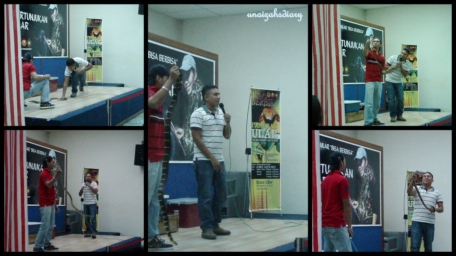 Memories Experiences Thoughts Hopes Dreams: Bisa Berbisa Snake Exhibition