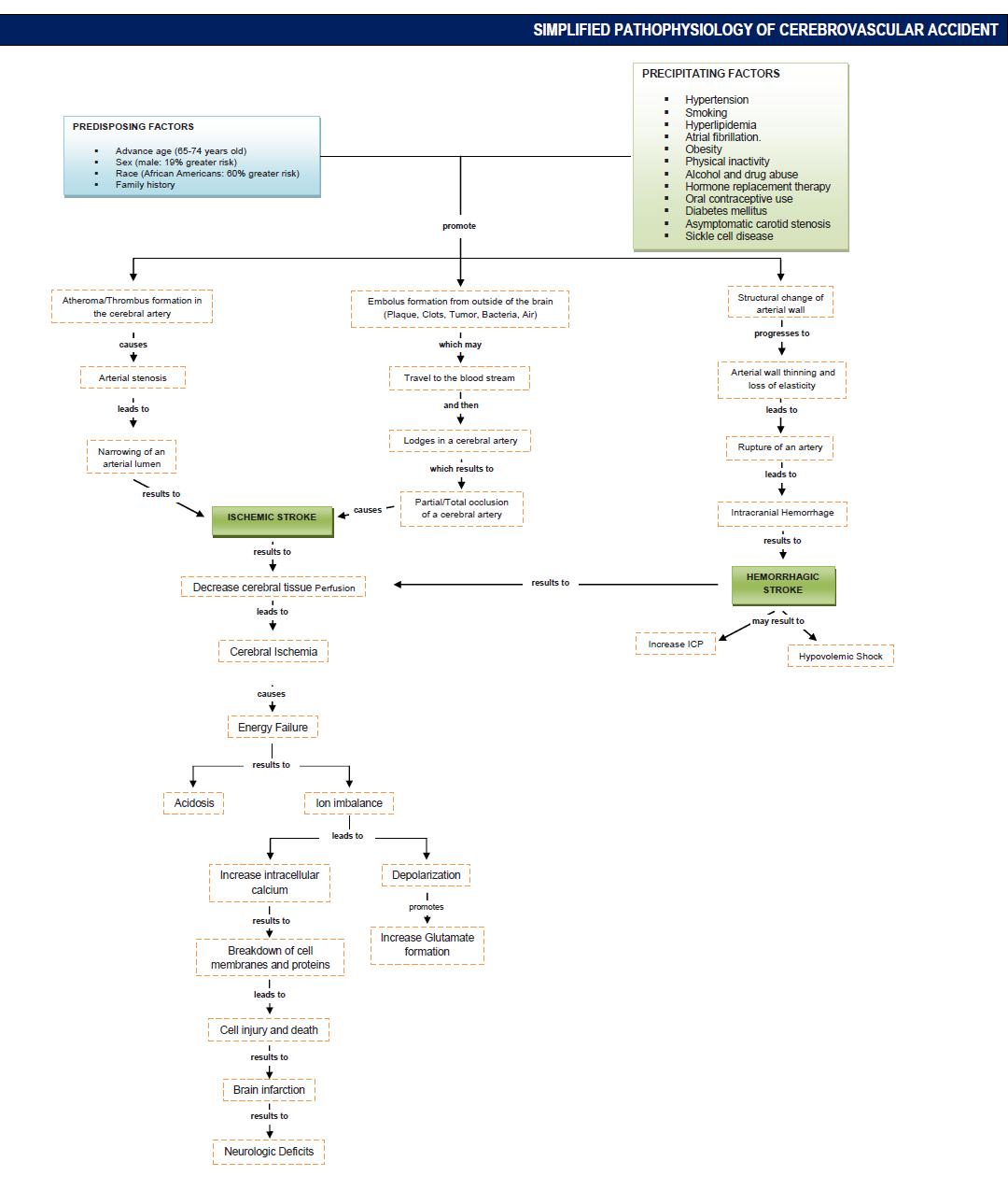 AMCC Library: Cerebrovascular Accident