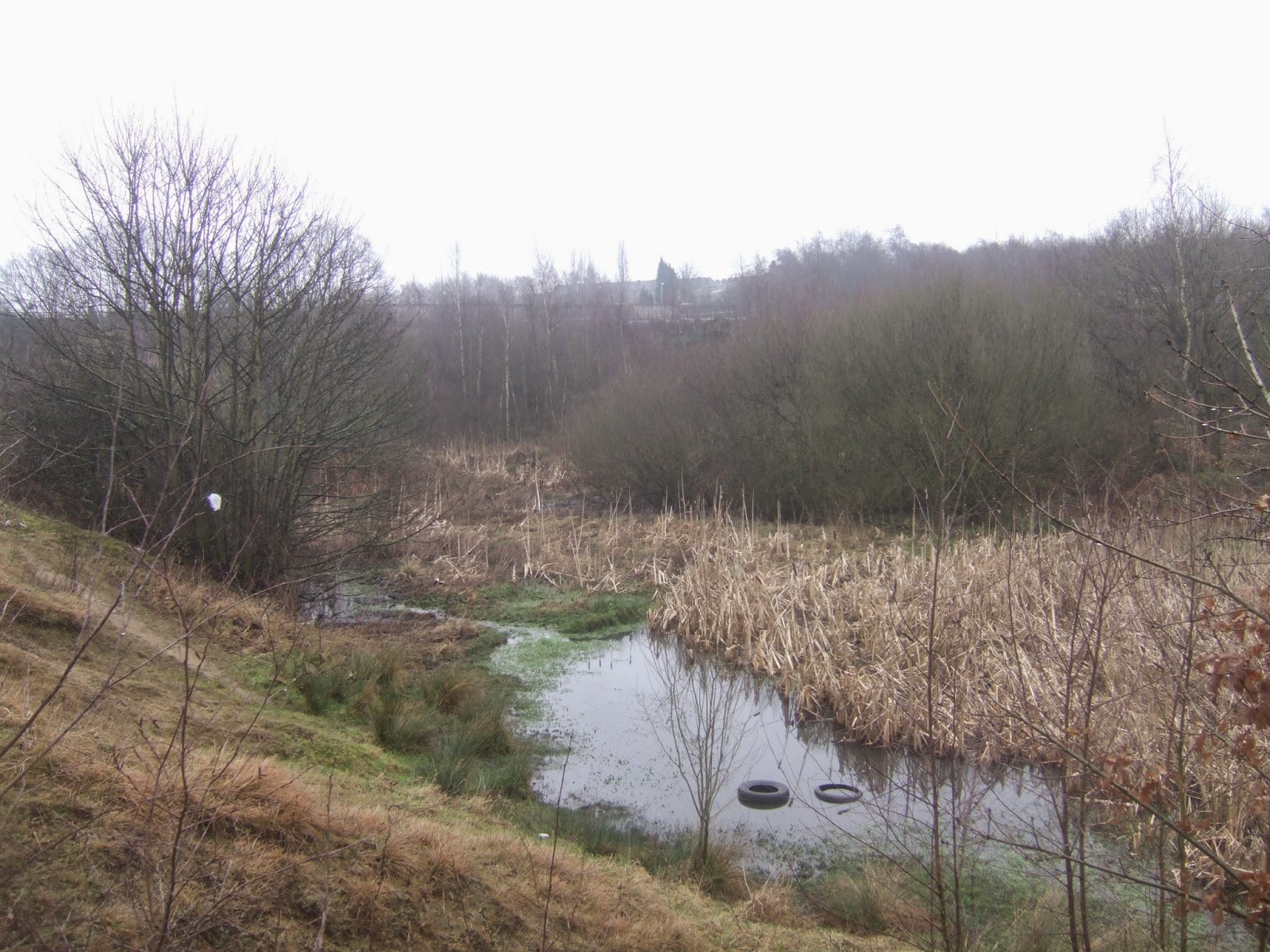 Alone Beneath The Sky: Morley to Outwood 14/02/15