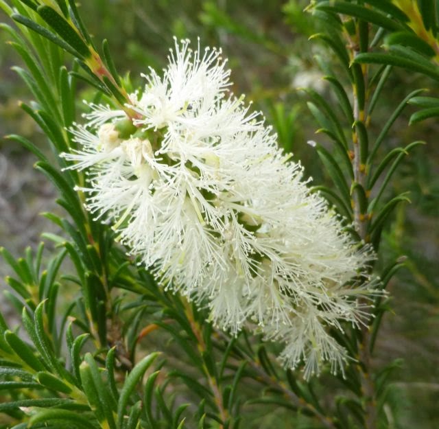 Happy Christmas one and all.