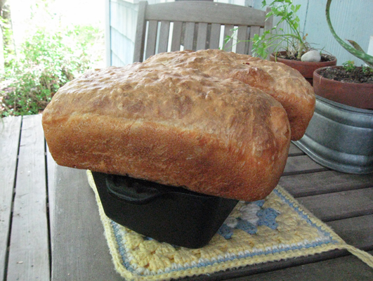 The Cacklin' Hen: Solar Bread