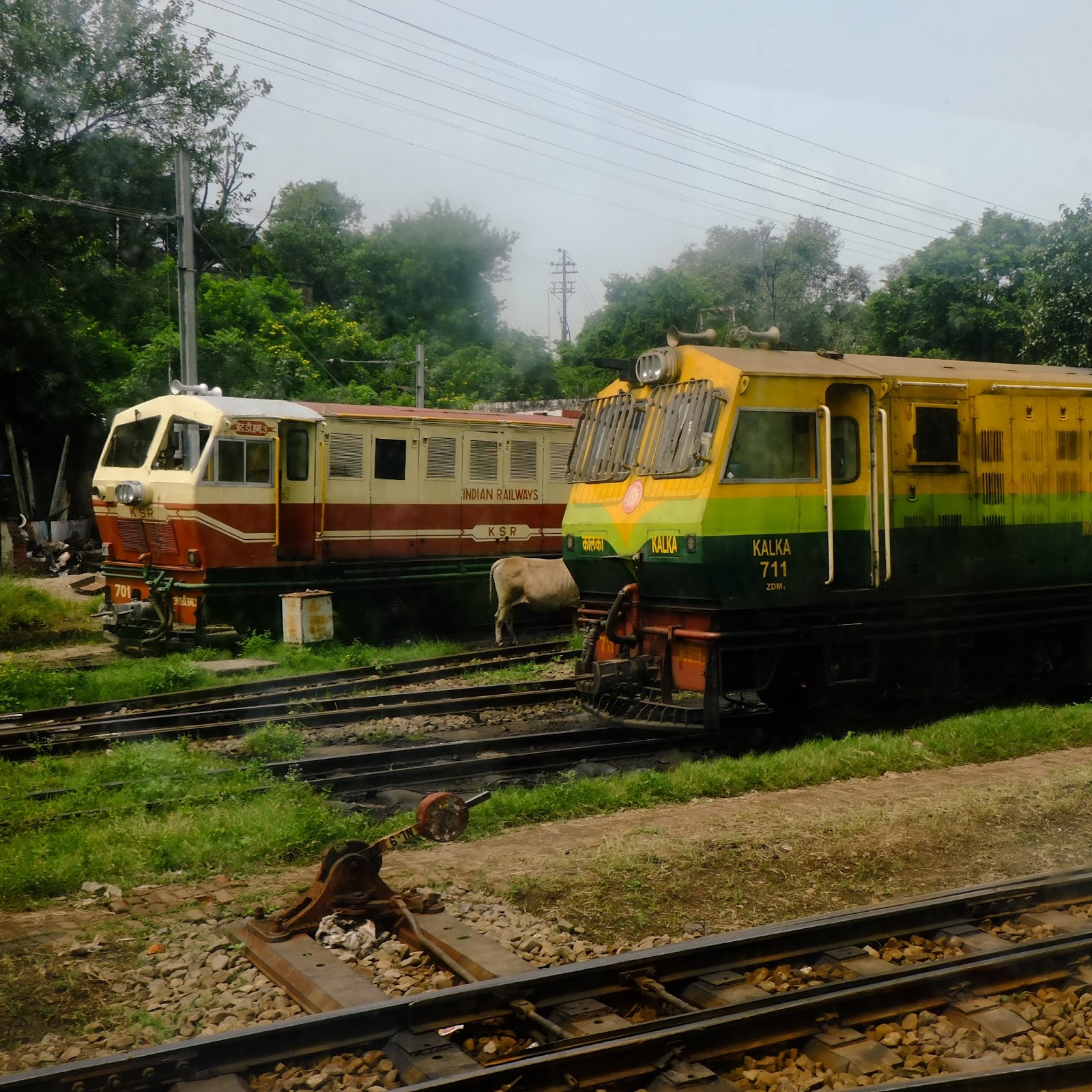 Apa Valley : Back at my Desk