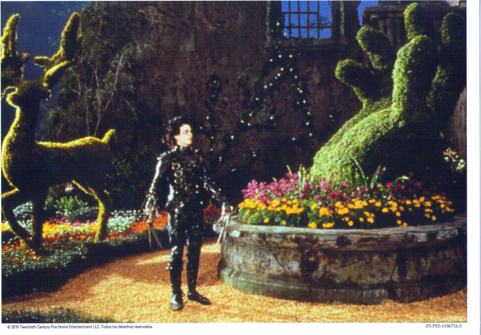 the little whisper: Edward Scissorhands