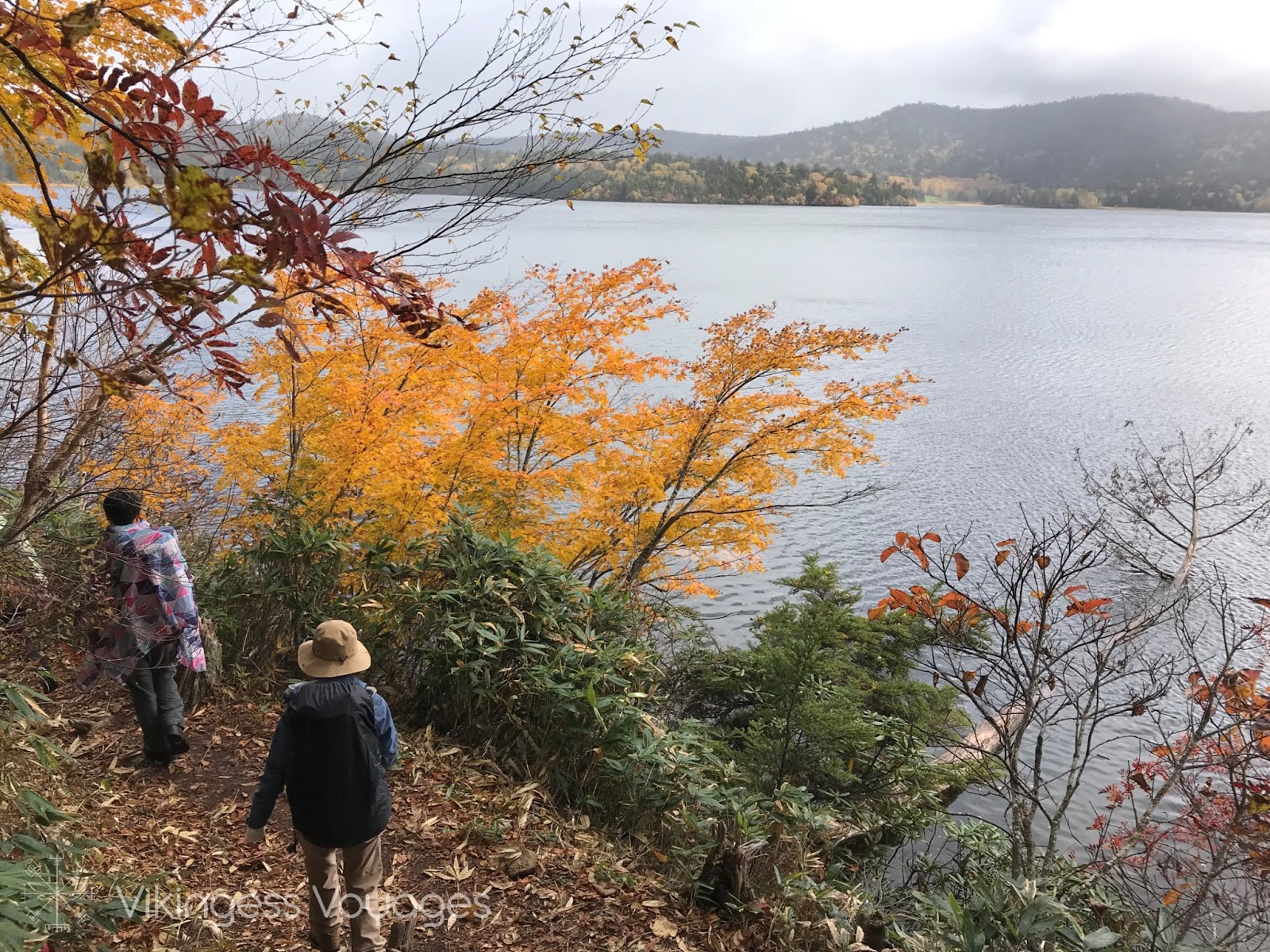 Gunma: How to enjoy the Autumn Foliage at Oze National Park - Vikingess ...