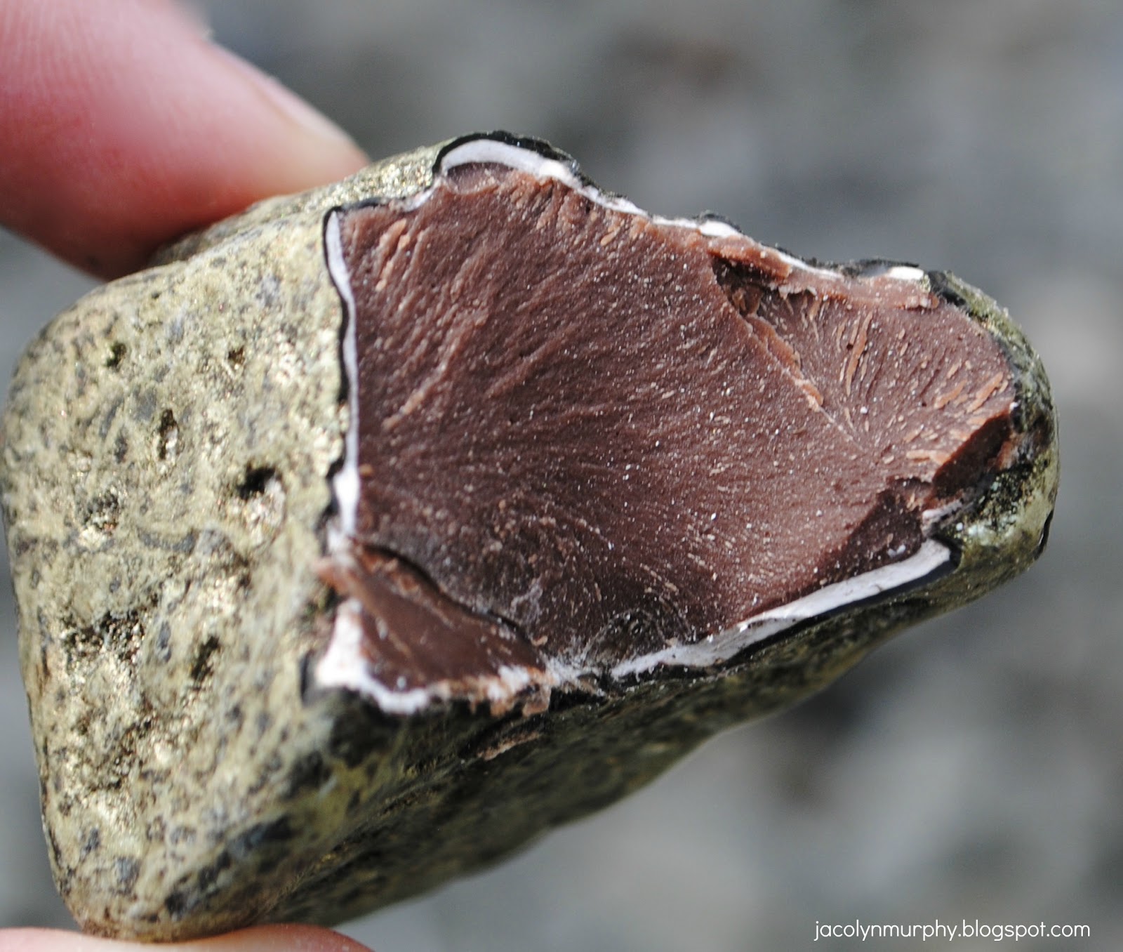 Jac o' lyn Murphy: "Boulder" Party Favors