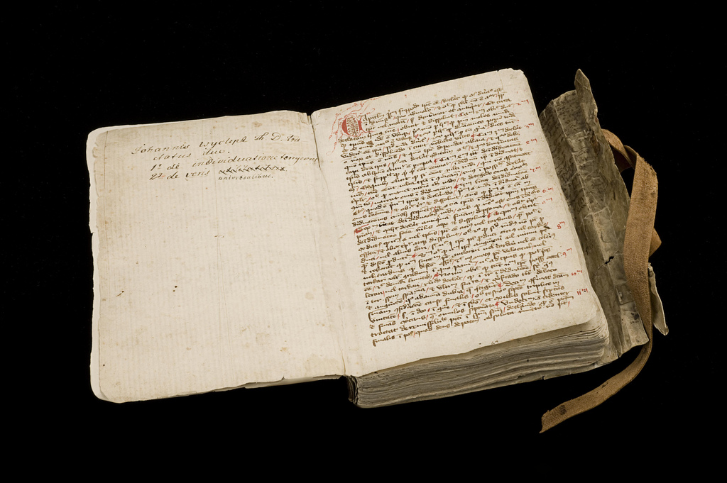 Interesting Pretties: Medieval Limp Bindings