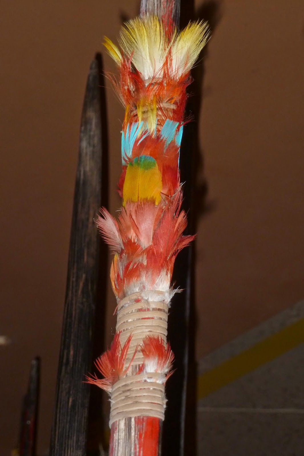 Sumak Kawsay Amazonia - Vida Plena para a Amazonia: XVII. TAGAERI ...