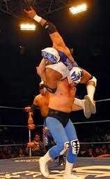 Lucha (Deporte): REGLAS LUCHA LIBRE