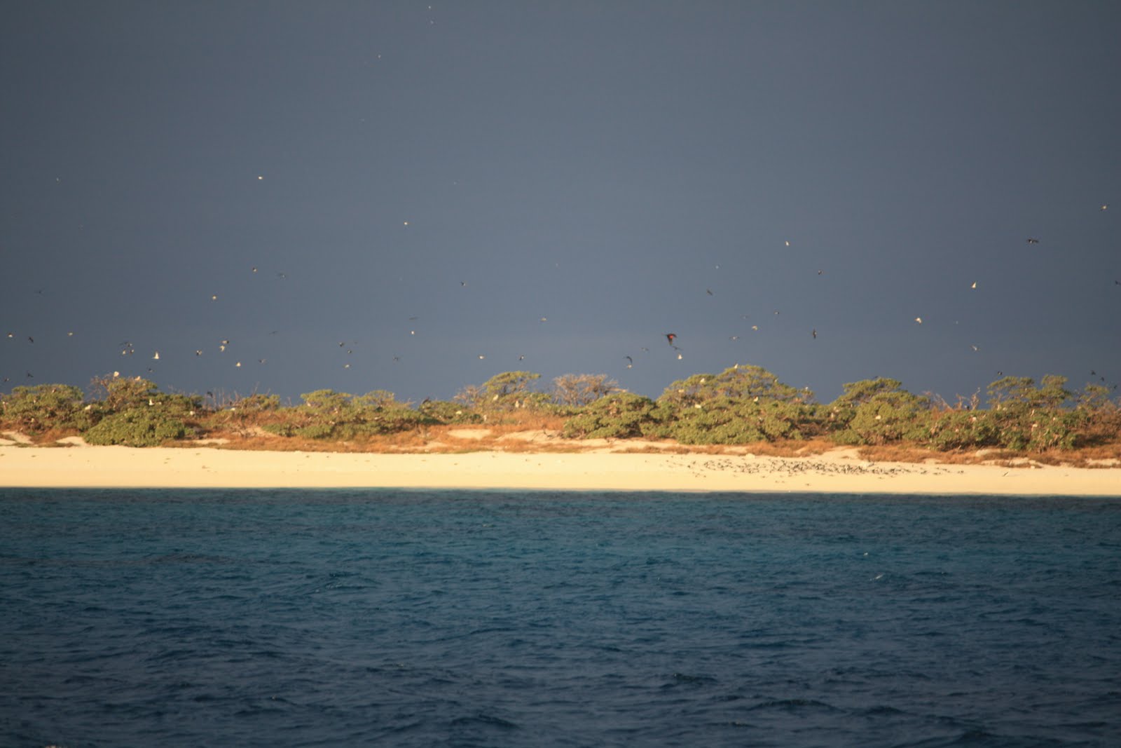 Emily Grace: Chesterfield Reef