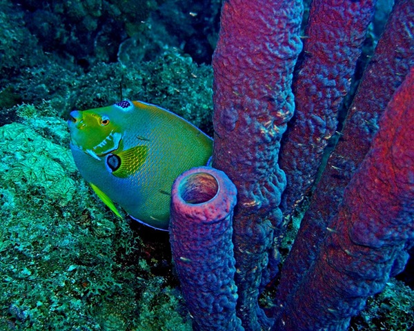 OddFuttos, When The Photos Speak: Art Photography: Incredible And ...