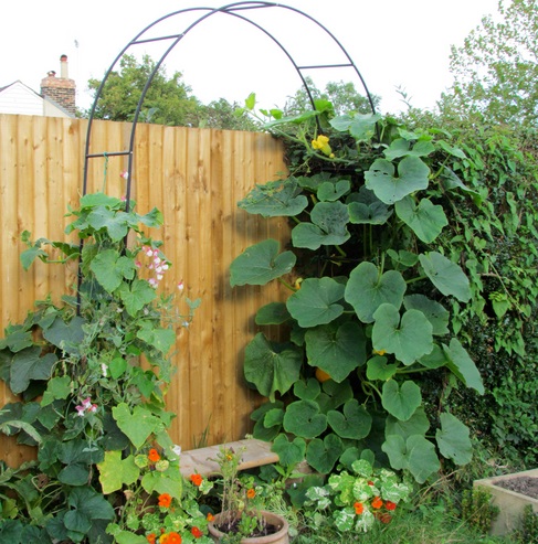 How To Build a Squash Arch ~ Goods Home Design