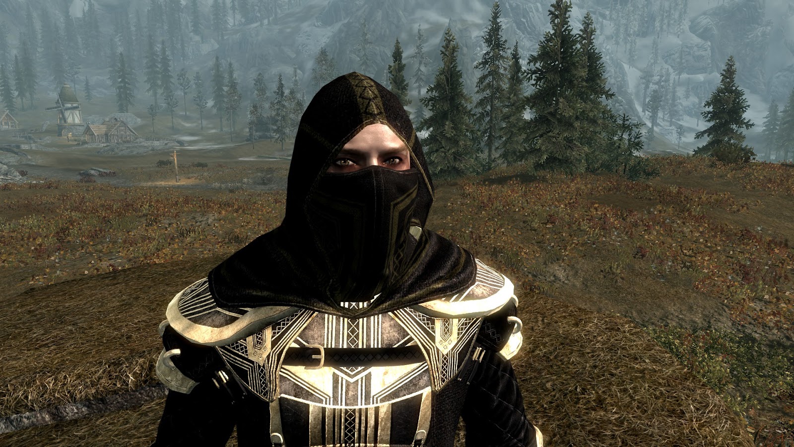 The Elder Scrolls Online - Breton Knight Armor