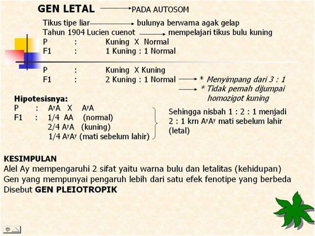 genetika: Penyimpangan Hukum Mendel