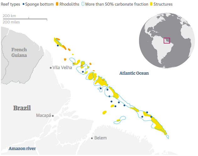 GeoGarage blog: First images of unique Brazilian coral reef at mouth of ...