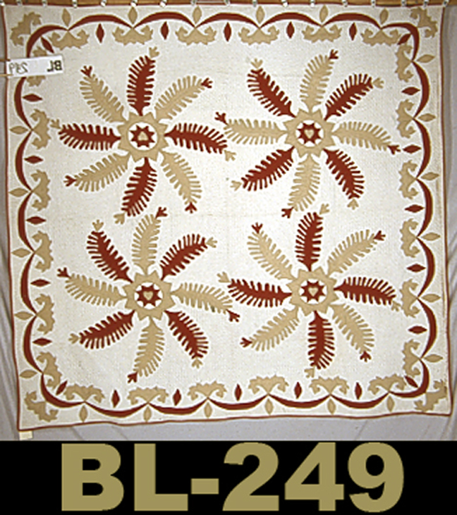 Barbara Brackman's MATERIAL CULTURE: Indiana Quilt Project: Applique