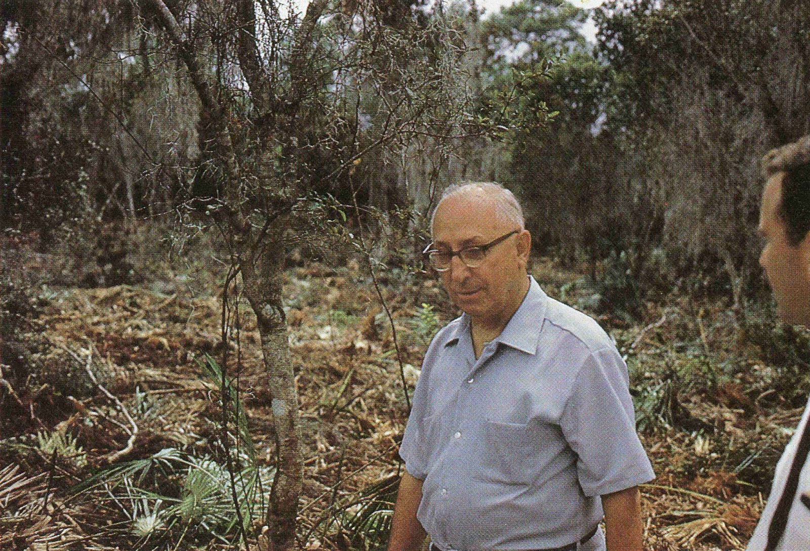 Disney Avenue: A Heartfelt Tribute to Roy O. Disney Including 24 Rarely ...