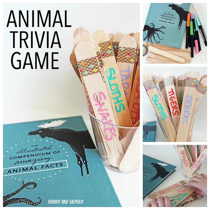 Fun DIY Animal Trivia Game Your Whole Family Will Love | Sunny Day Family